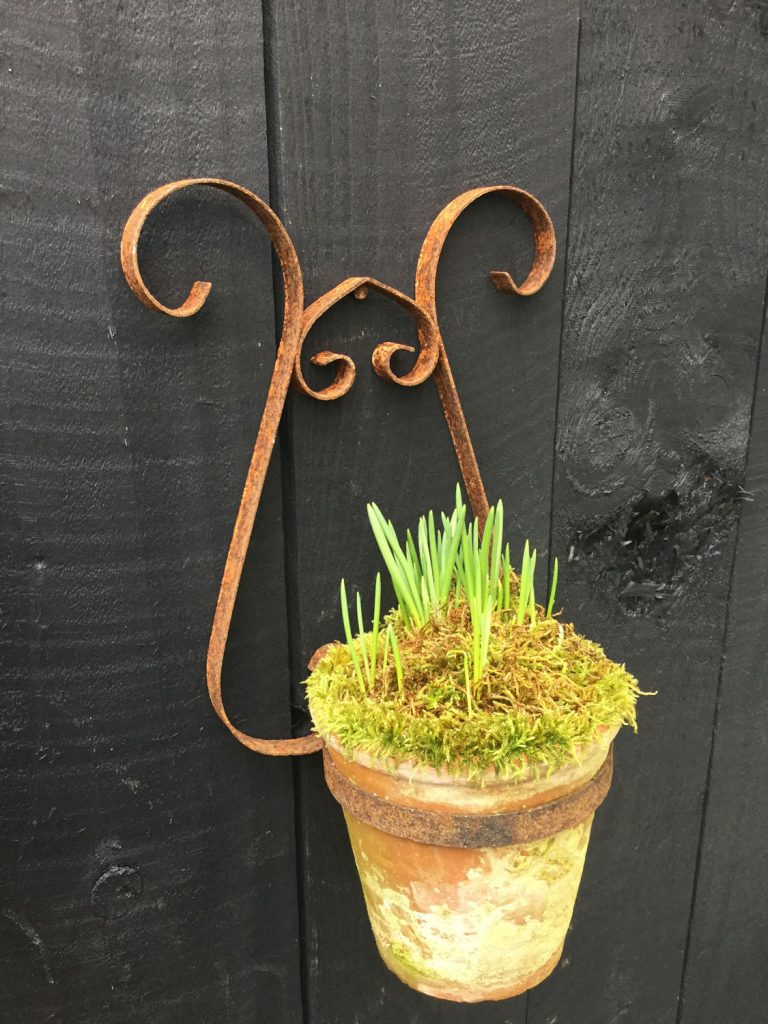 Ornate Metal Wall Mounted Pot Holder - BAXTER & CO. home