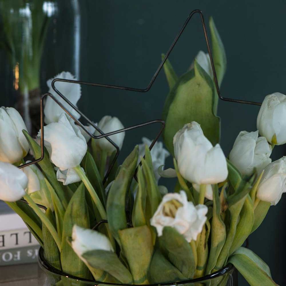 Small Double Speared Star Stake - BAXTER & CO. home