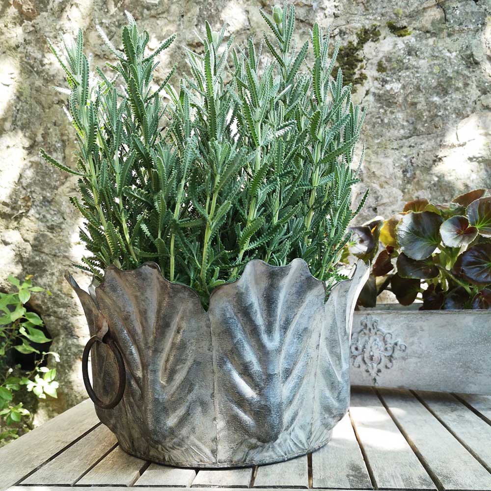 Zinc Leaf Planter With Handles - BAXTER & CO. home