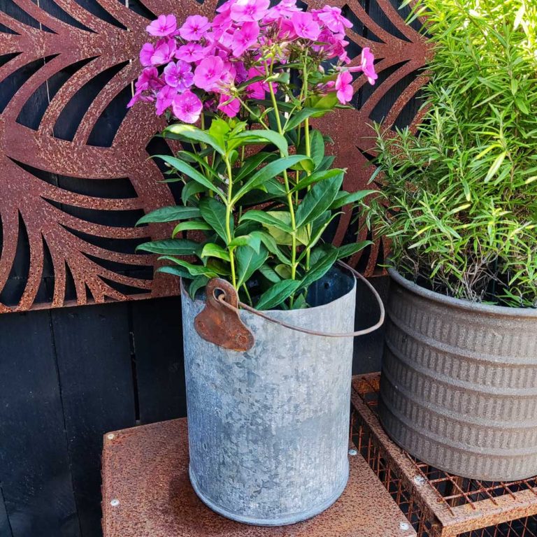 French Galvanised Wash Tub Planter With Handles